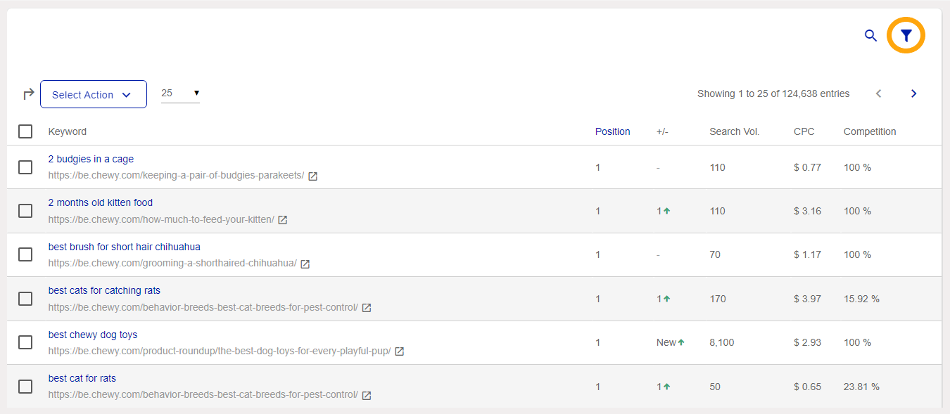 Using Keyword Filters Effectively – cPanel SEO